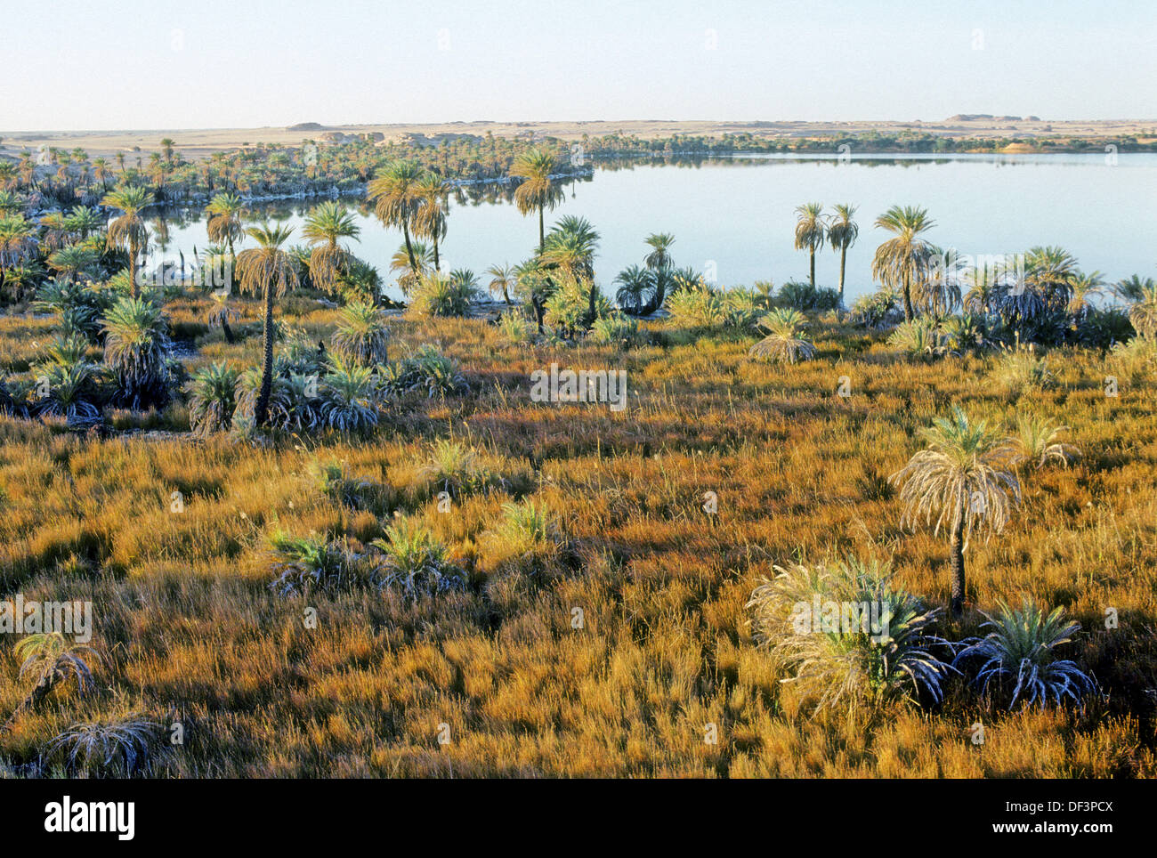 Ennedi region hi-res stock photography and images - Alamy