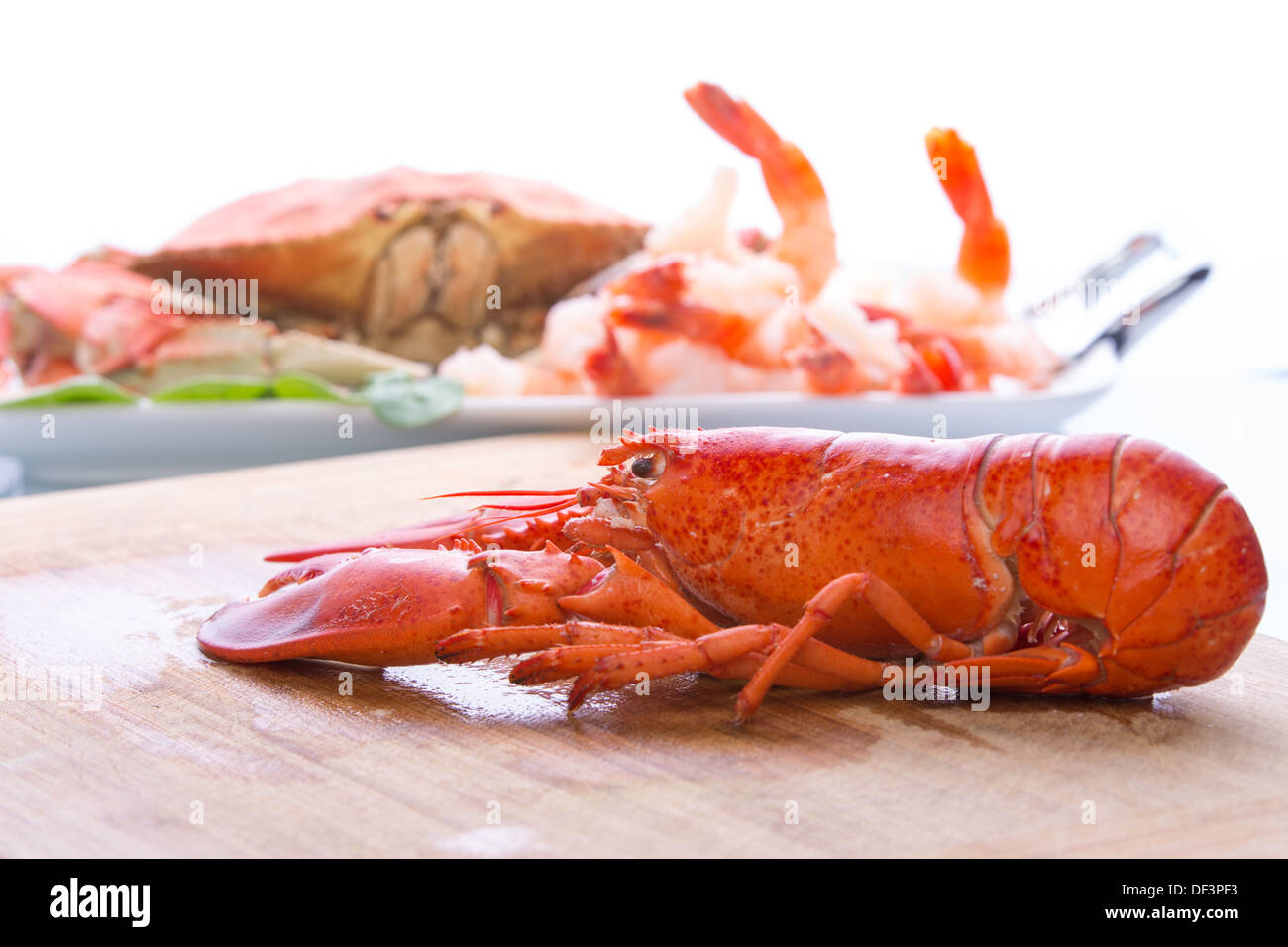 Lobster texture hi-res stock photography and images - Alamy