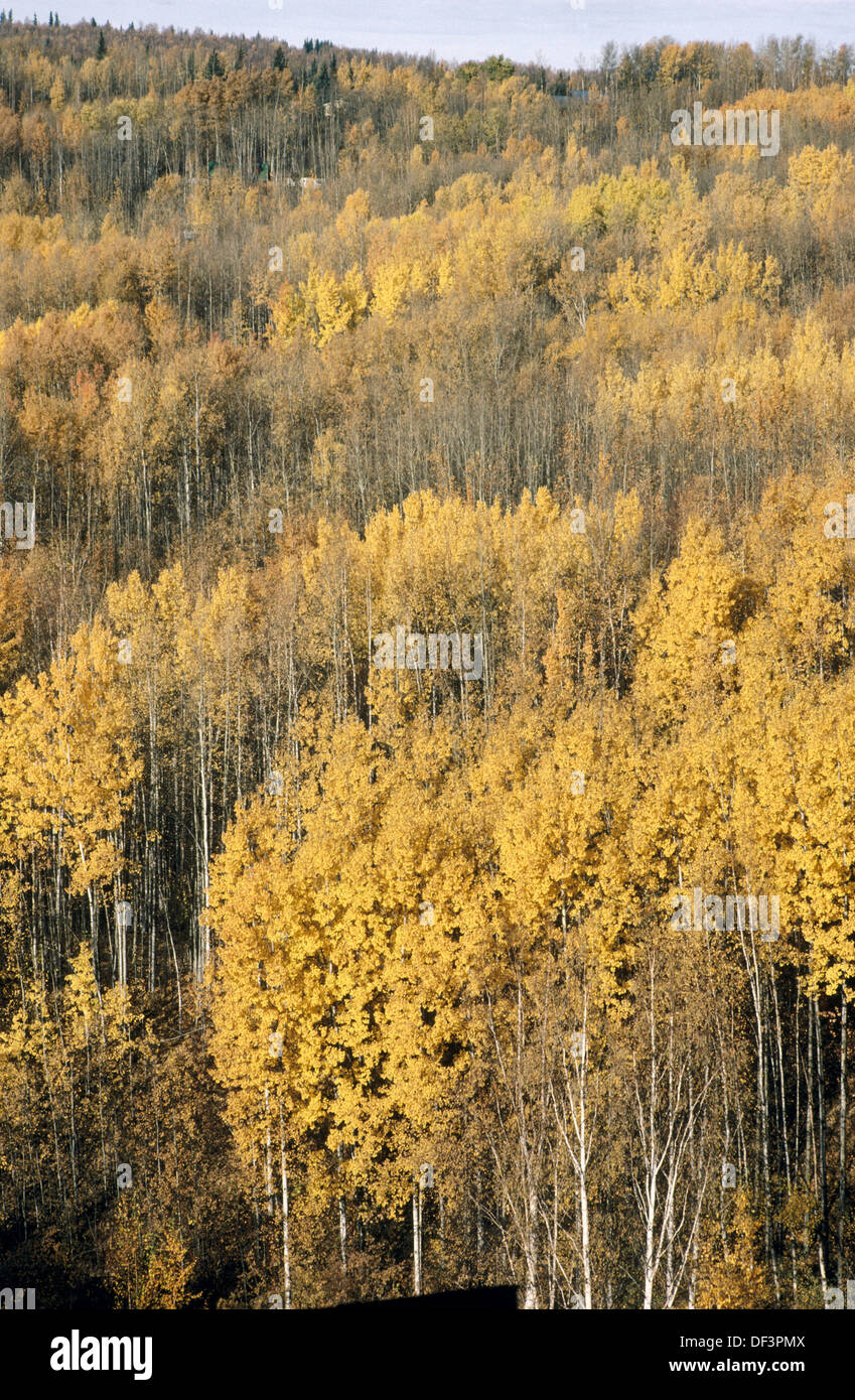 Fairbanks city area alaska hi-res stock photography and images - Alamy