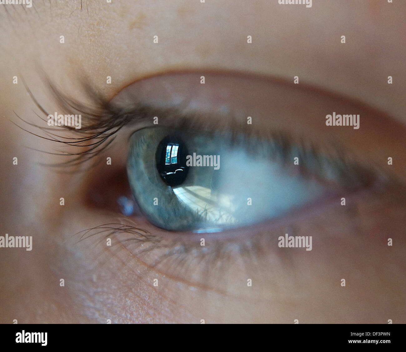 Eye reflection hi-res stock photography and images - Alamy