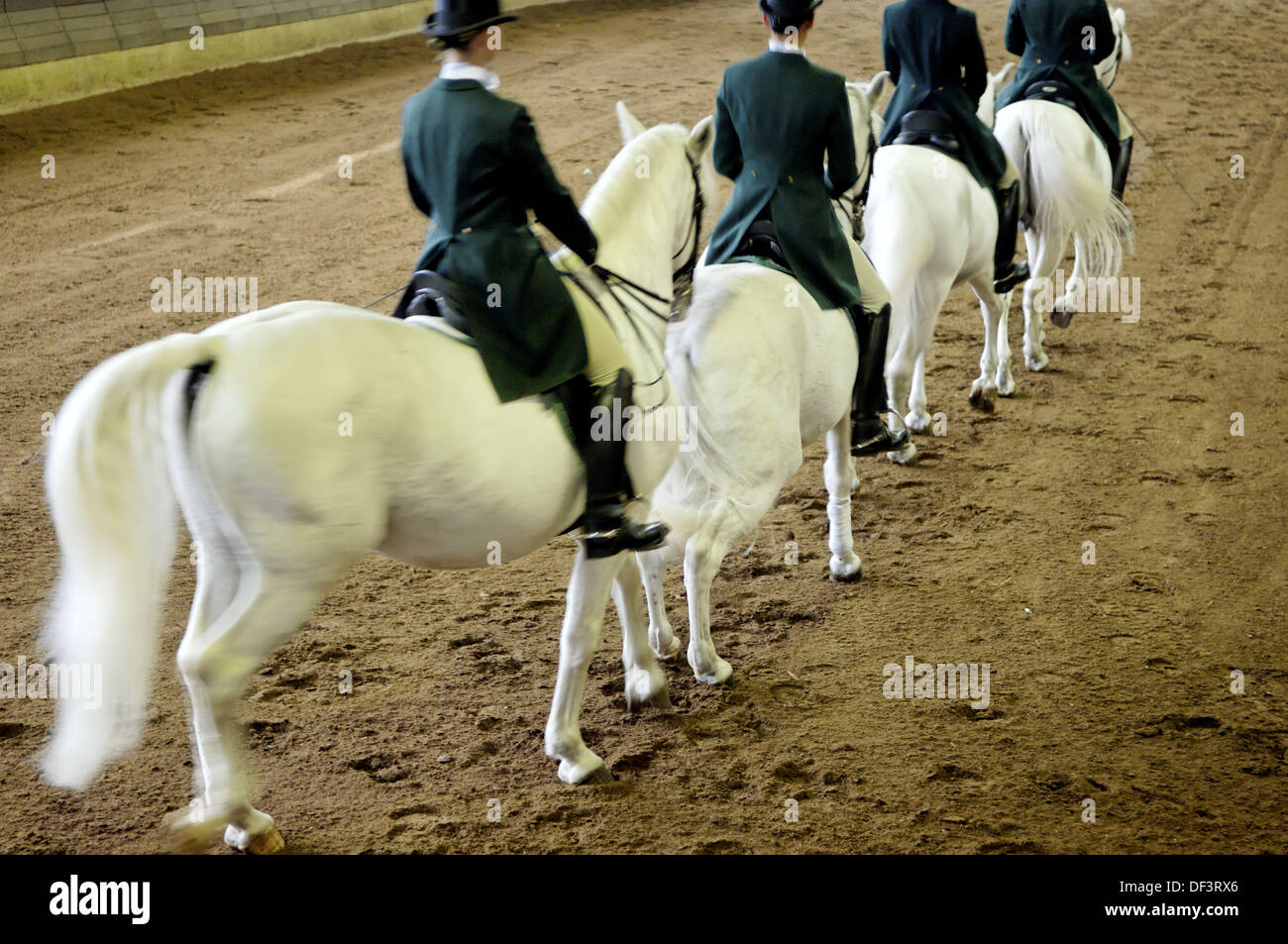 Classical riding, horse hi-res stock photography and images - Alamy
