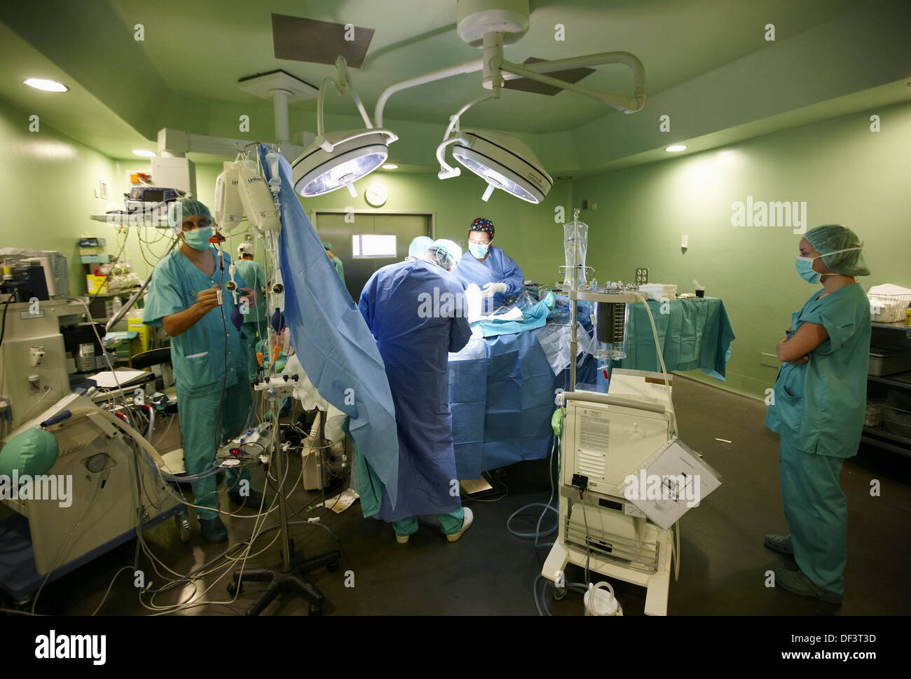 Femoral preparation hi-res stock photography and images - Alamy