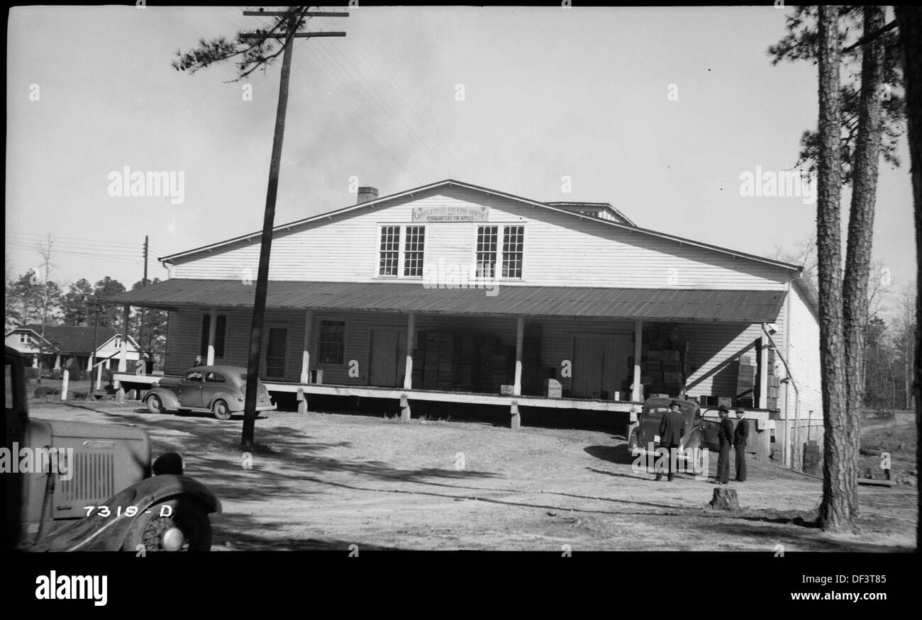 This photograph shows a cooperative packing and storage area, which was ...