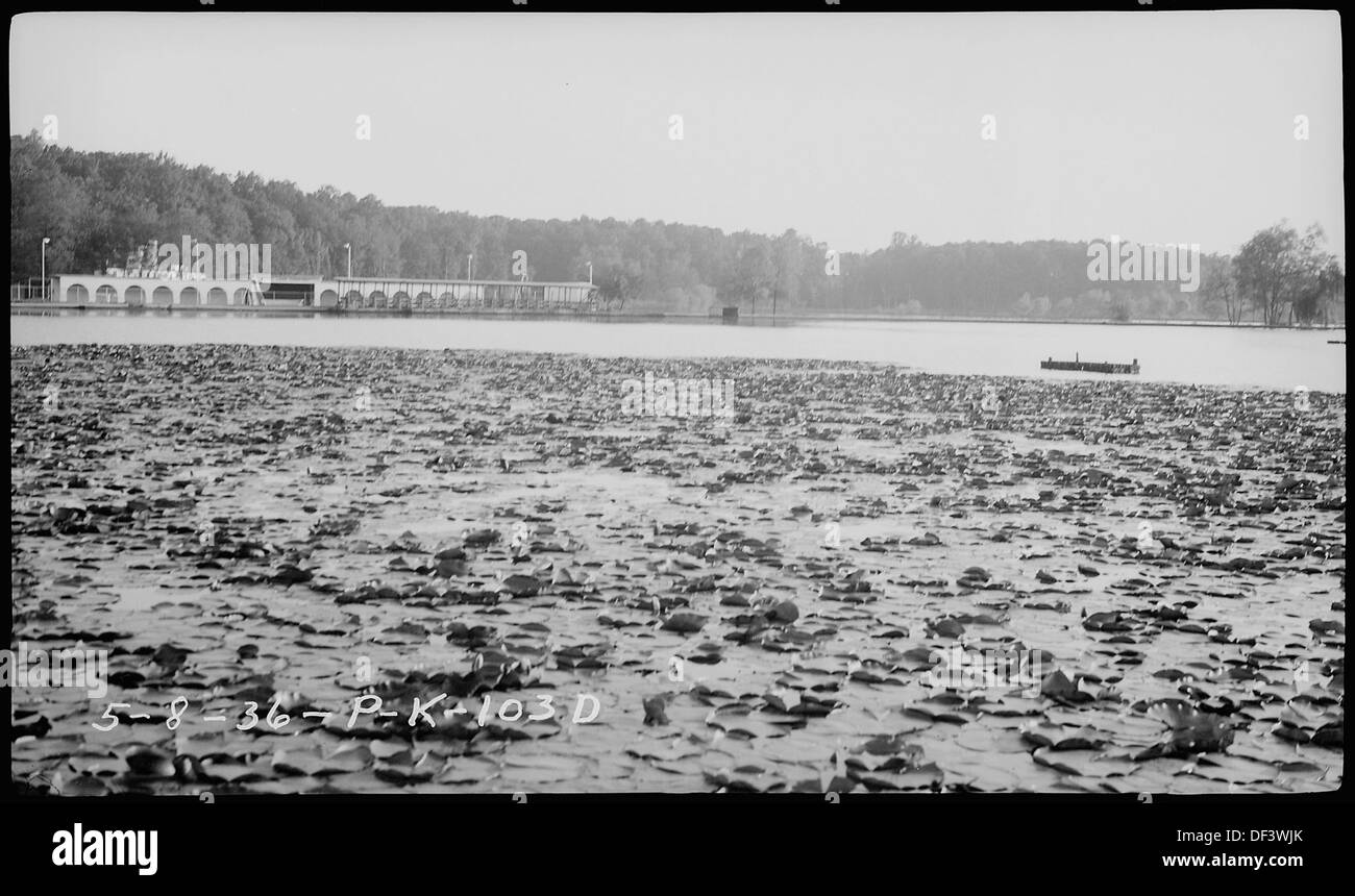 A historical photograph of Crystal Lake, captured and archived by the ...