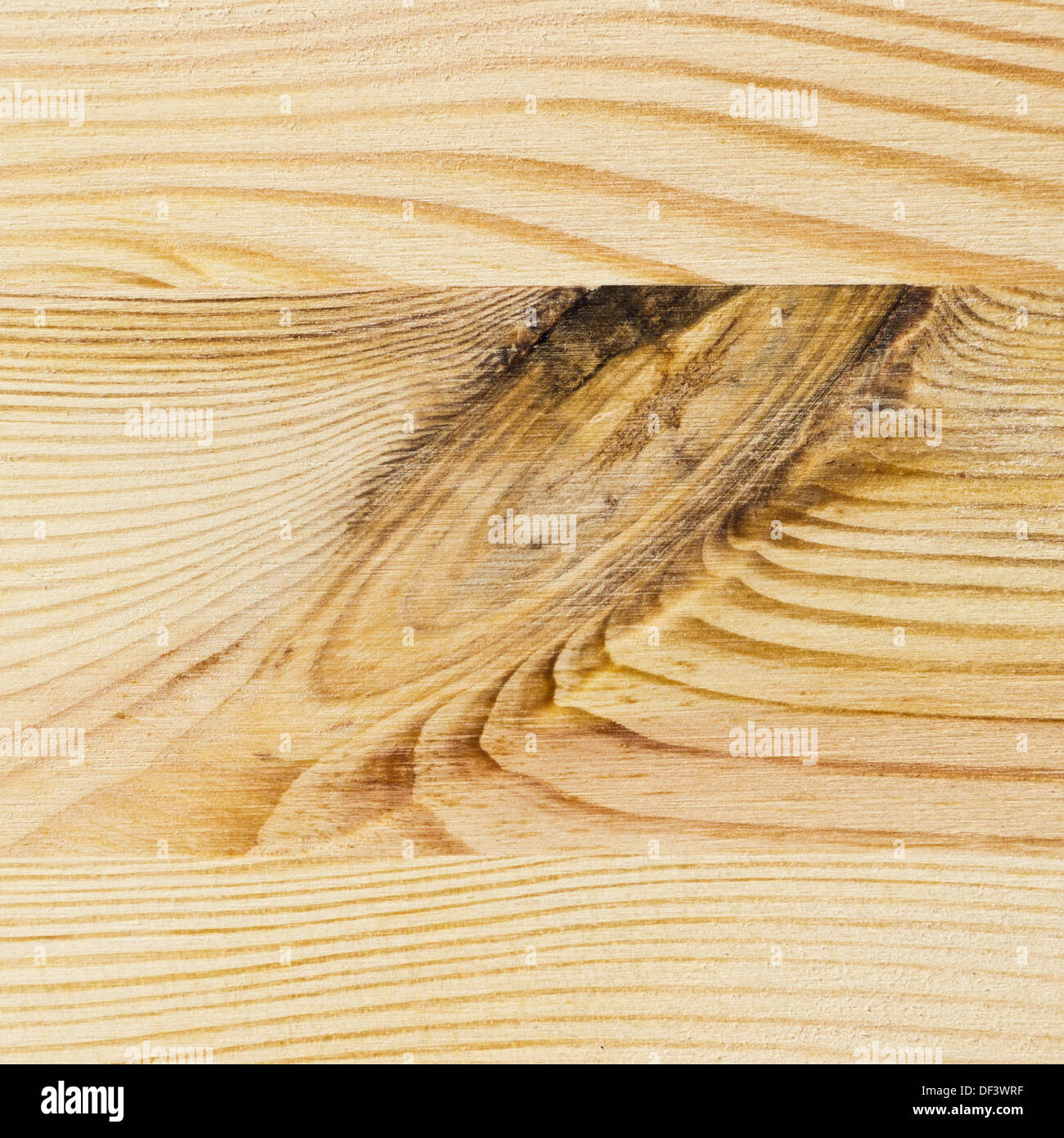 Detail of wood texture Stock Photo - Alamy