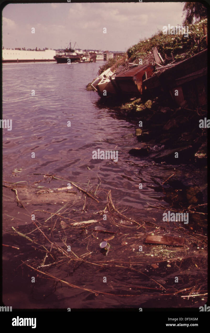 Debris collects along the banks of the Duwamish River in Seattle ...