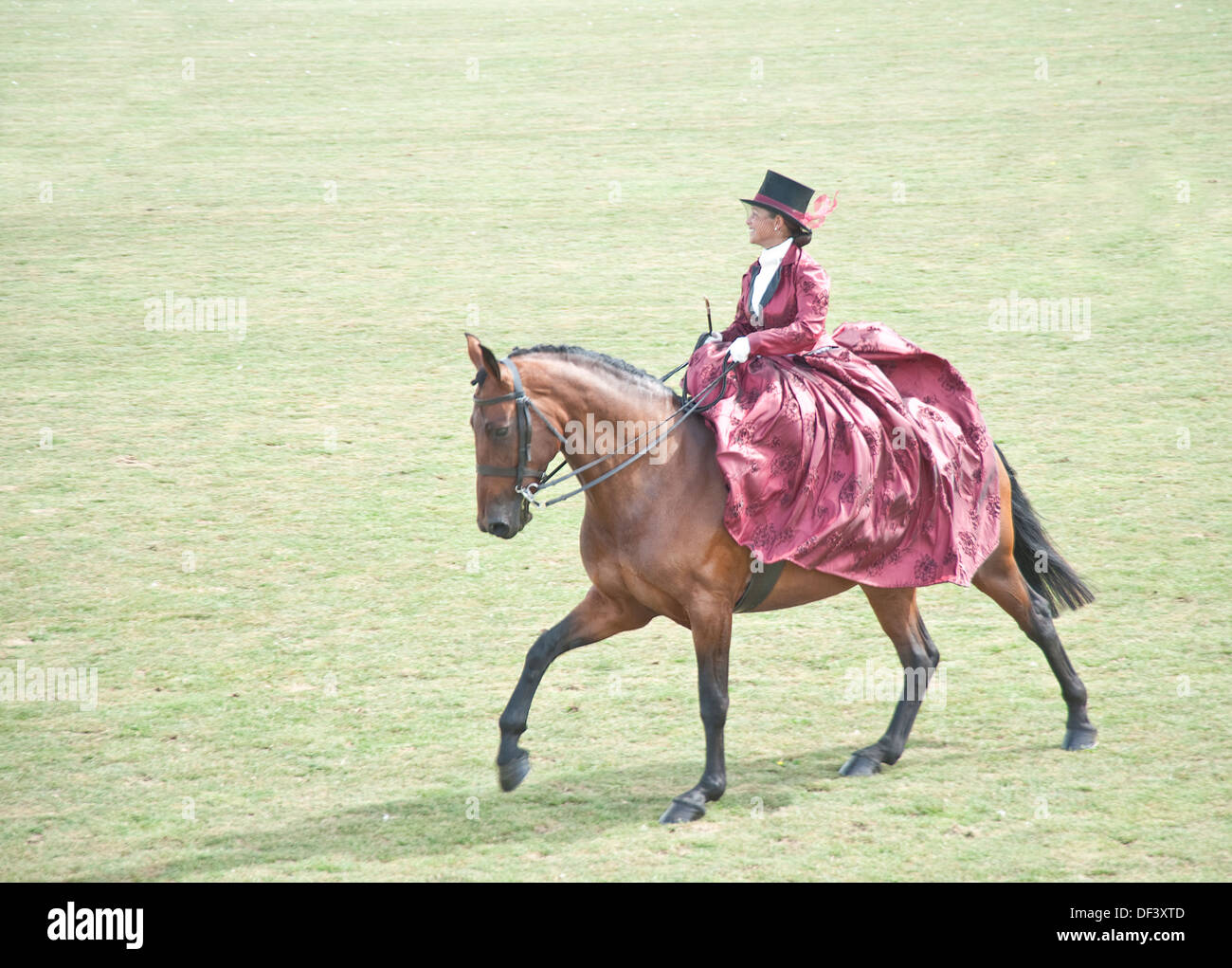 Side saddle hi-res stock photography and images - Alamy