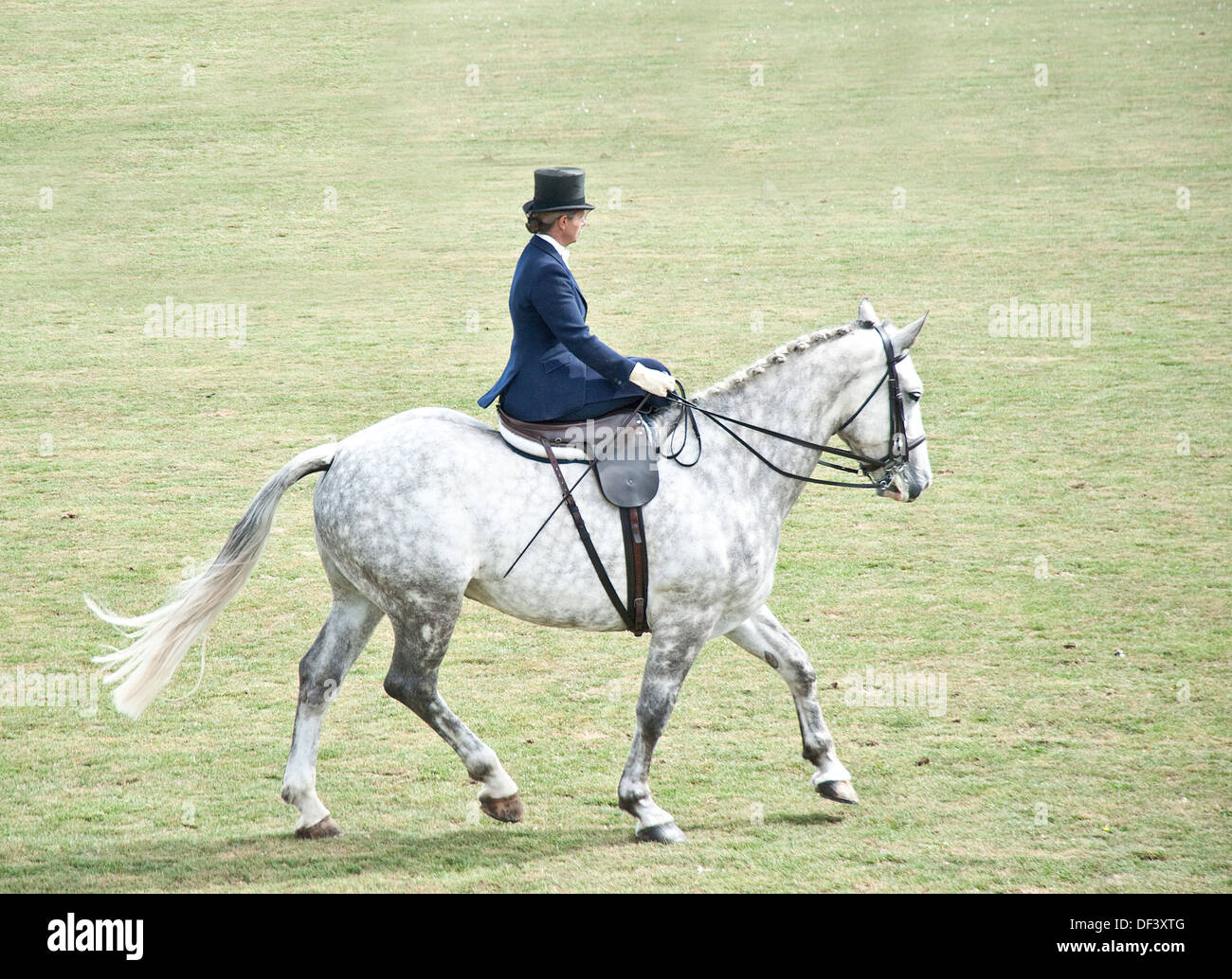 Side saddle hi-res stock photography and images - Alamy