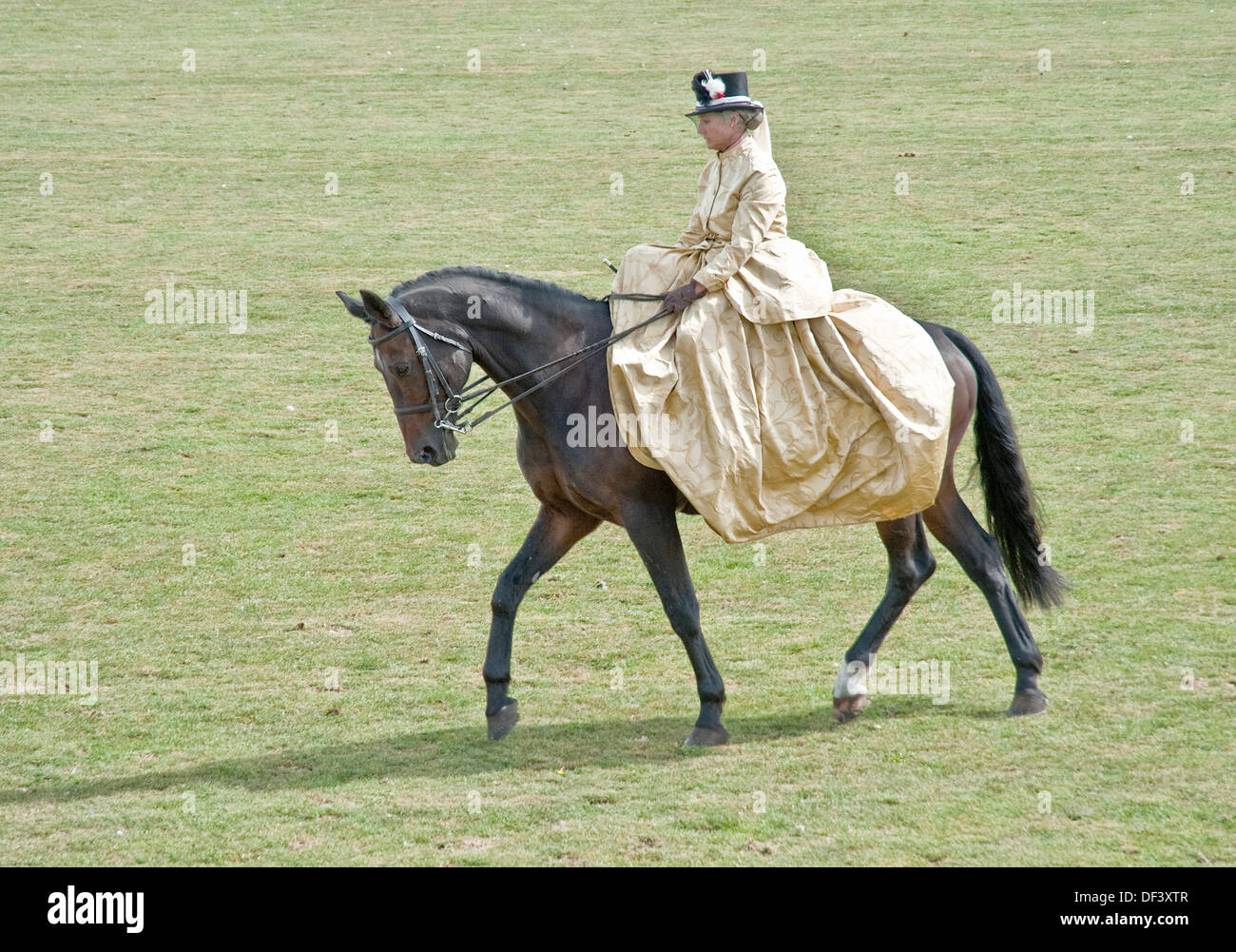 Side saddle hi-res stock photography and images - Alamy