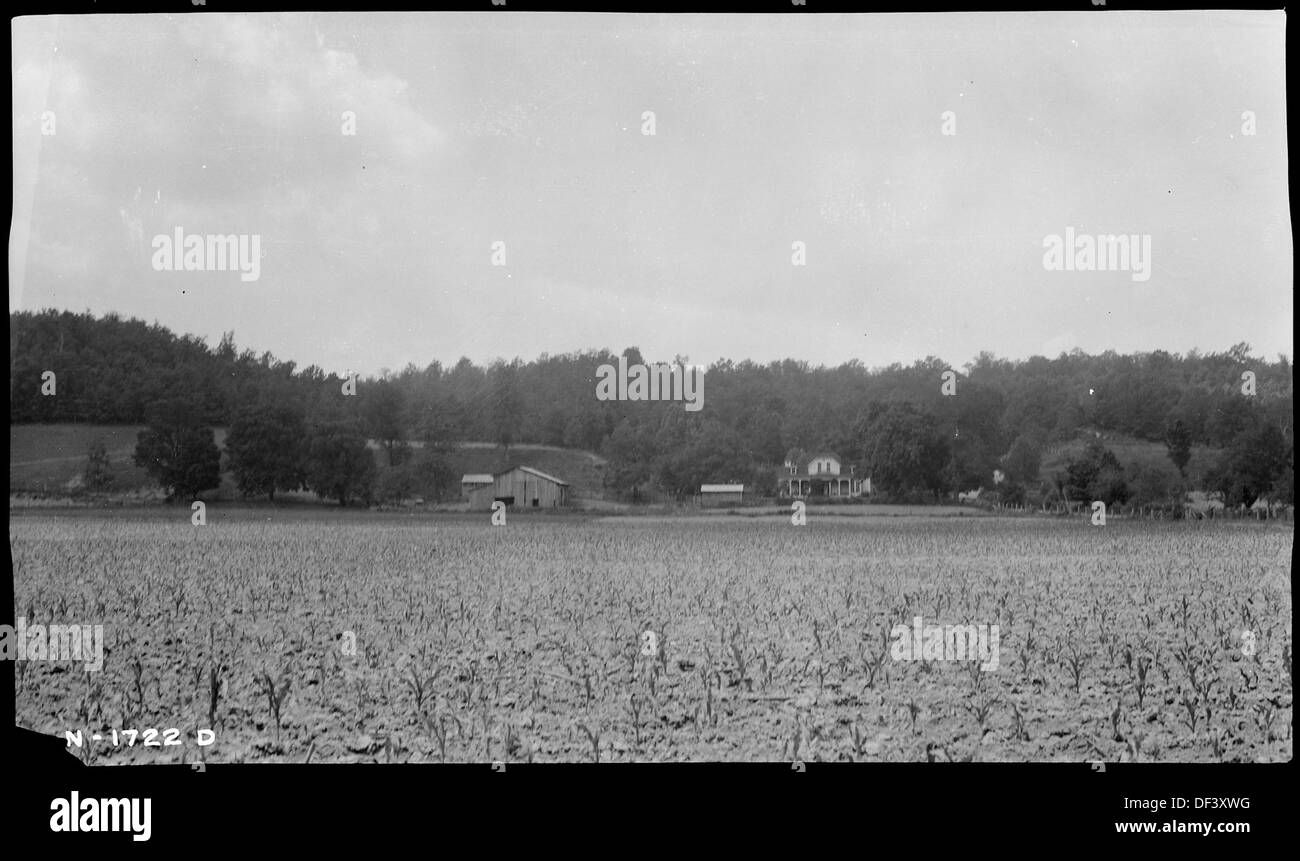 Depriest hi-res stock photography and images - Alamy