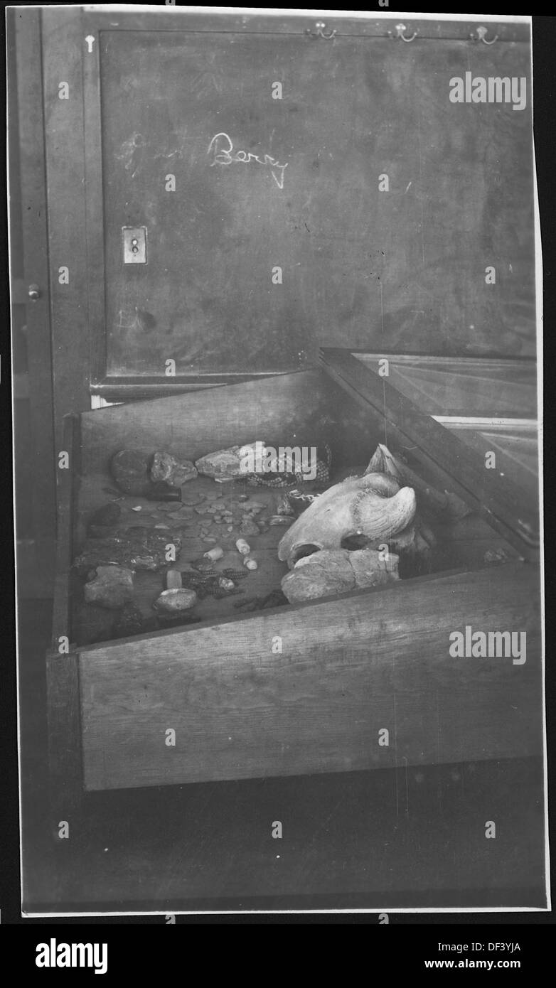 A display of Native American relics, showcasing cultural artifacts and ...