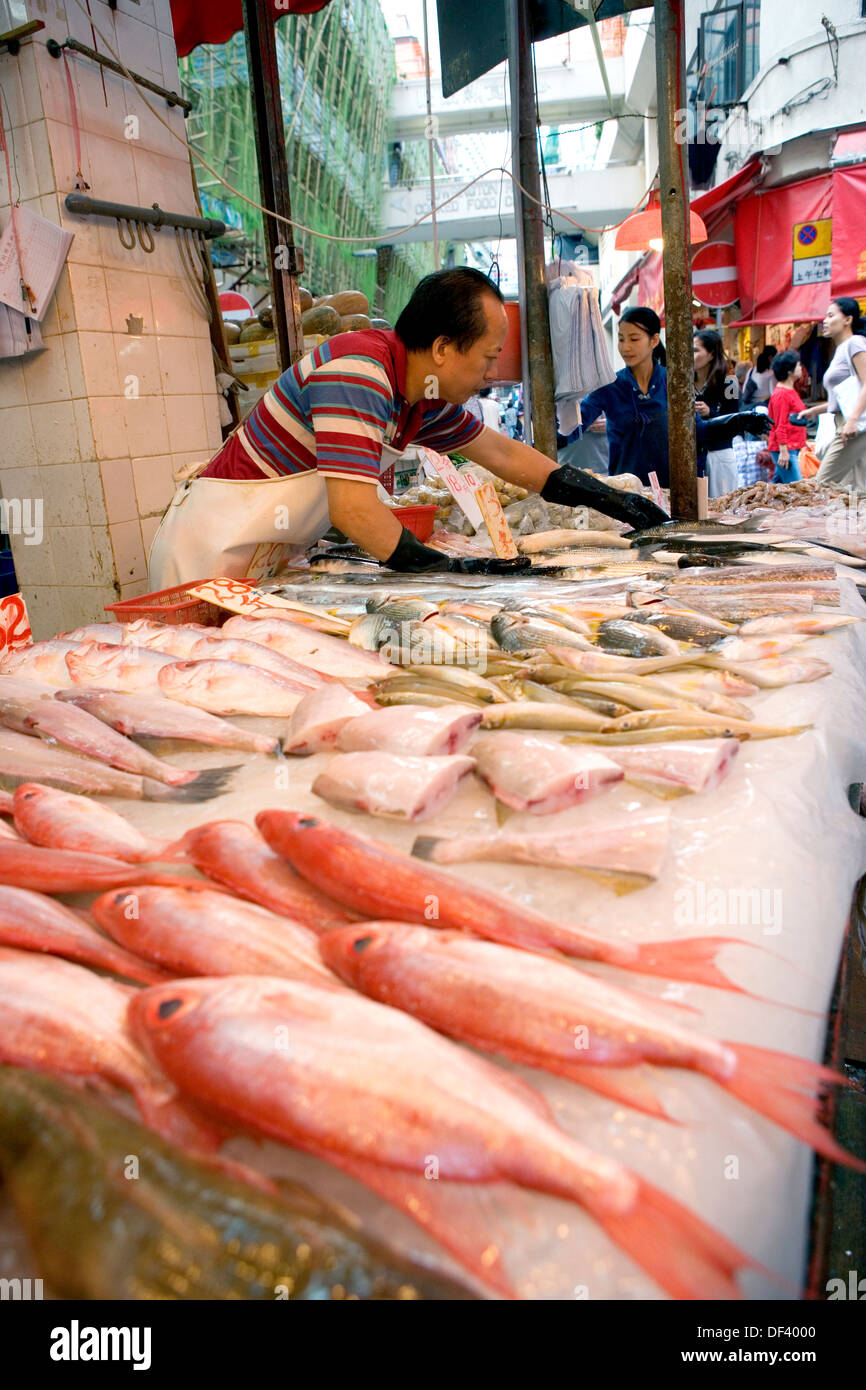 China, Hong Kong, fish market Stock Photo - Alamy