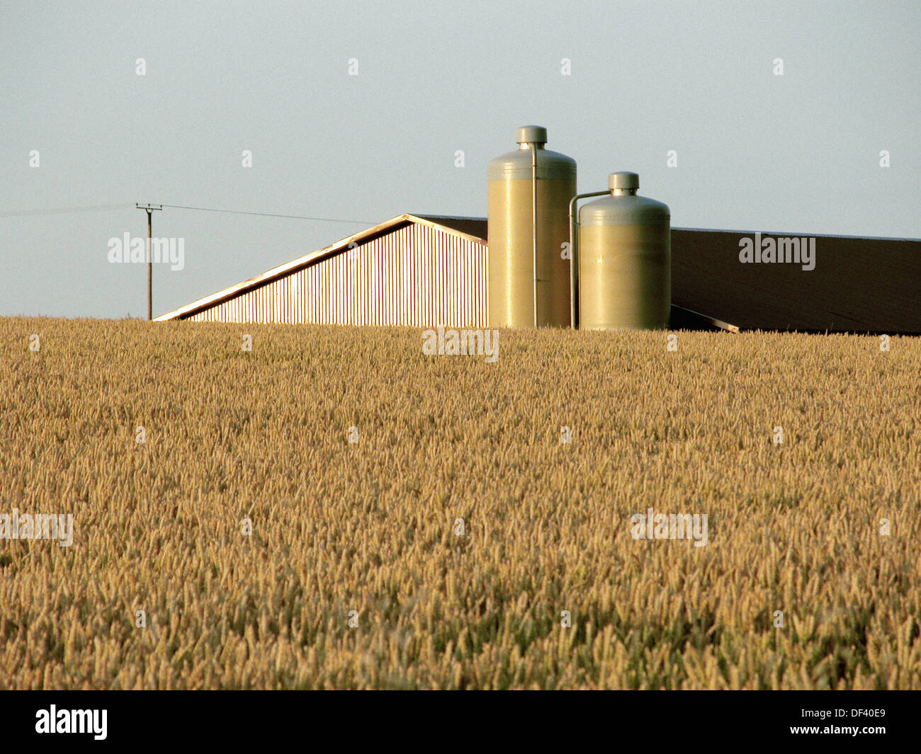 Barn with silos Stock Photo - Alamy