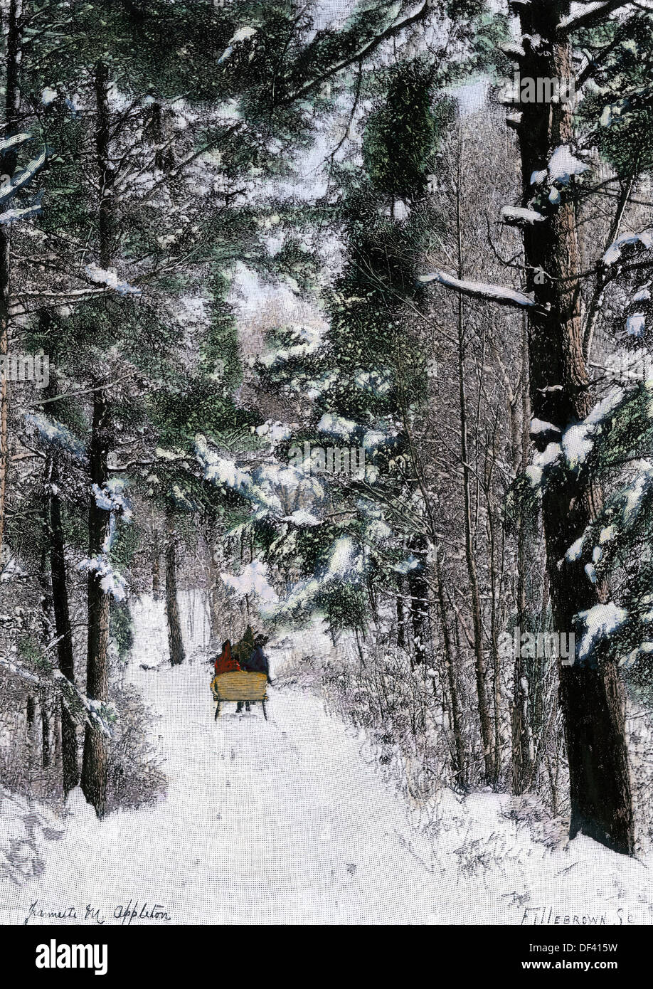Sleigh-ride through the north shore woods, Massachusetts, 1800s. Hand ...