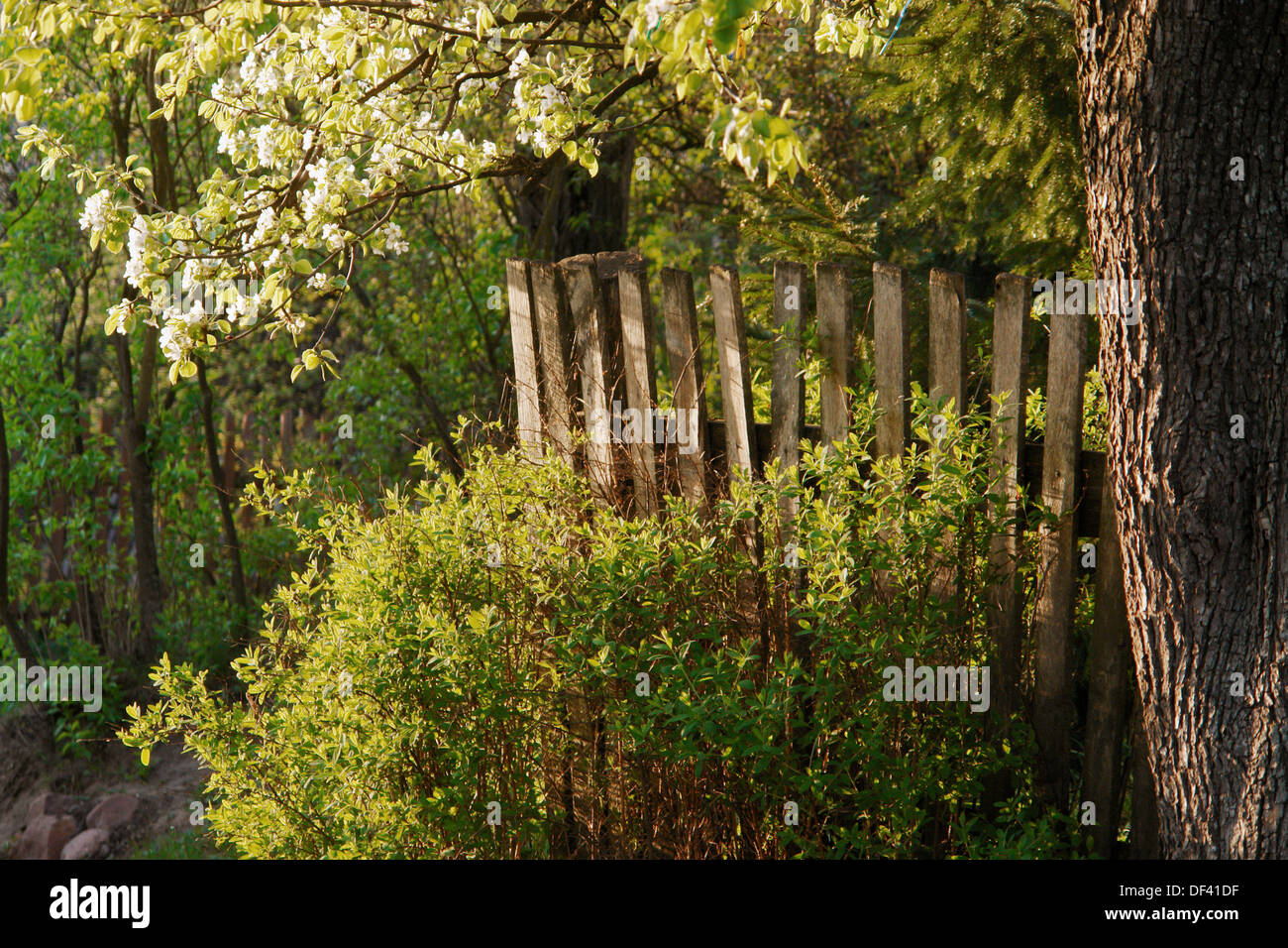 Spring in the country Stock Photo - Alamy