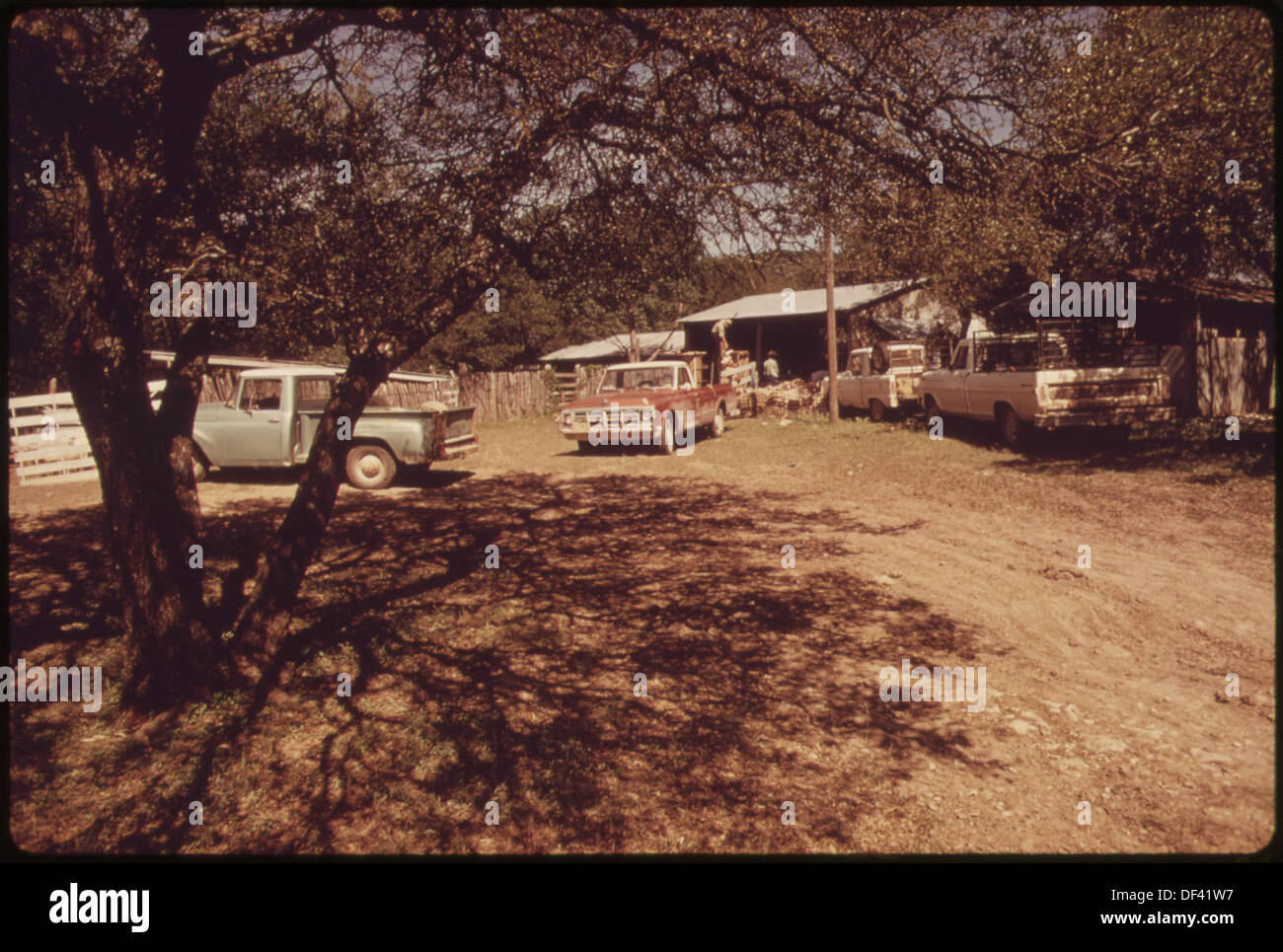 This photograph depicts the driveway of a sheep ranch located near ...