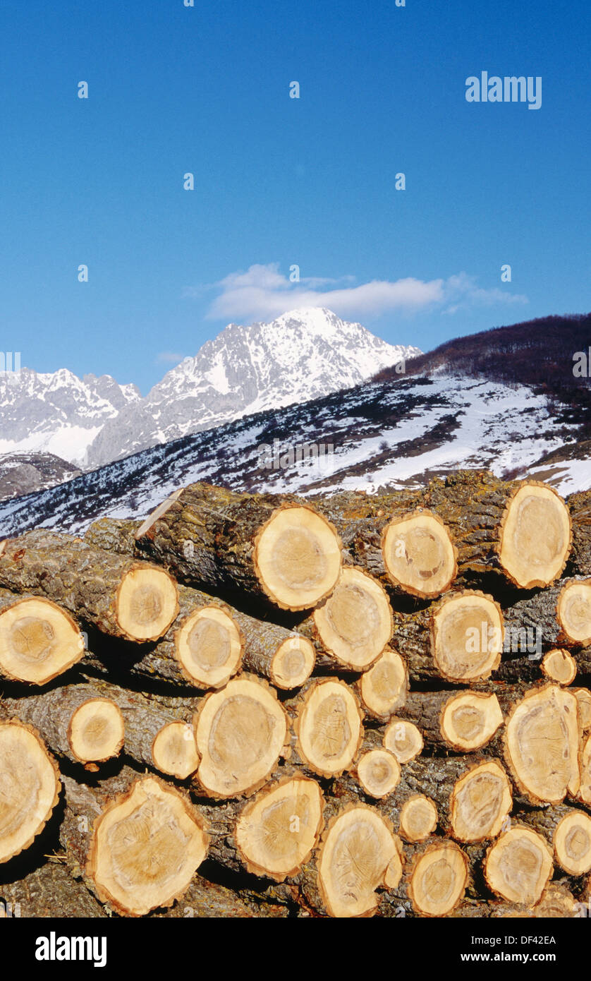 Log stack and snow-covered mountains. San Emiliano, Babia. León ...