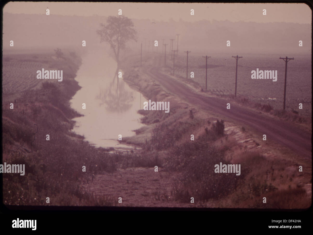 This photograph captures a tranquil early morning scene, preserved in ...