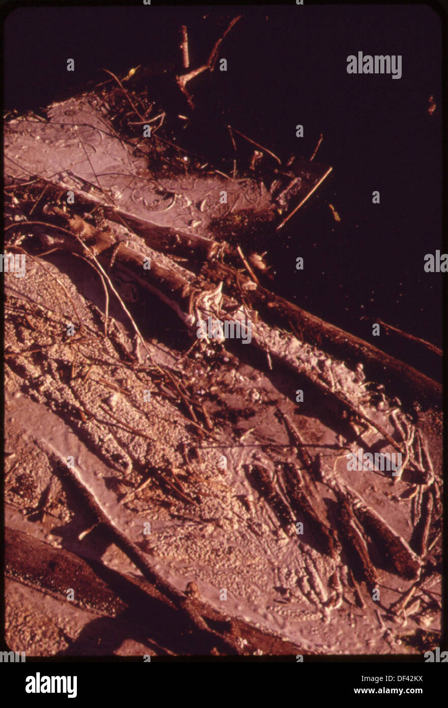 Louis Cloquet High Resolution Stock Photography and Images - Alamy