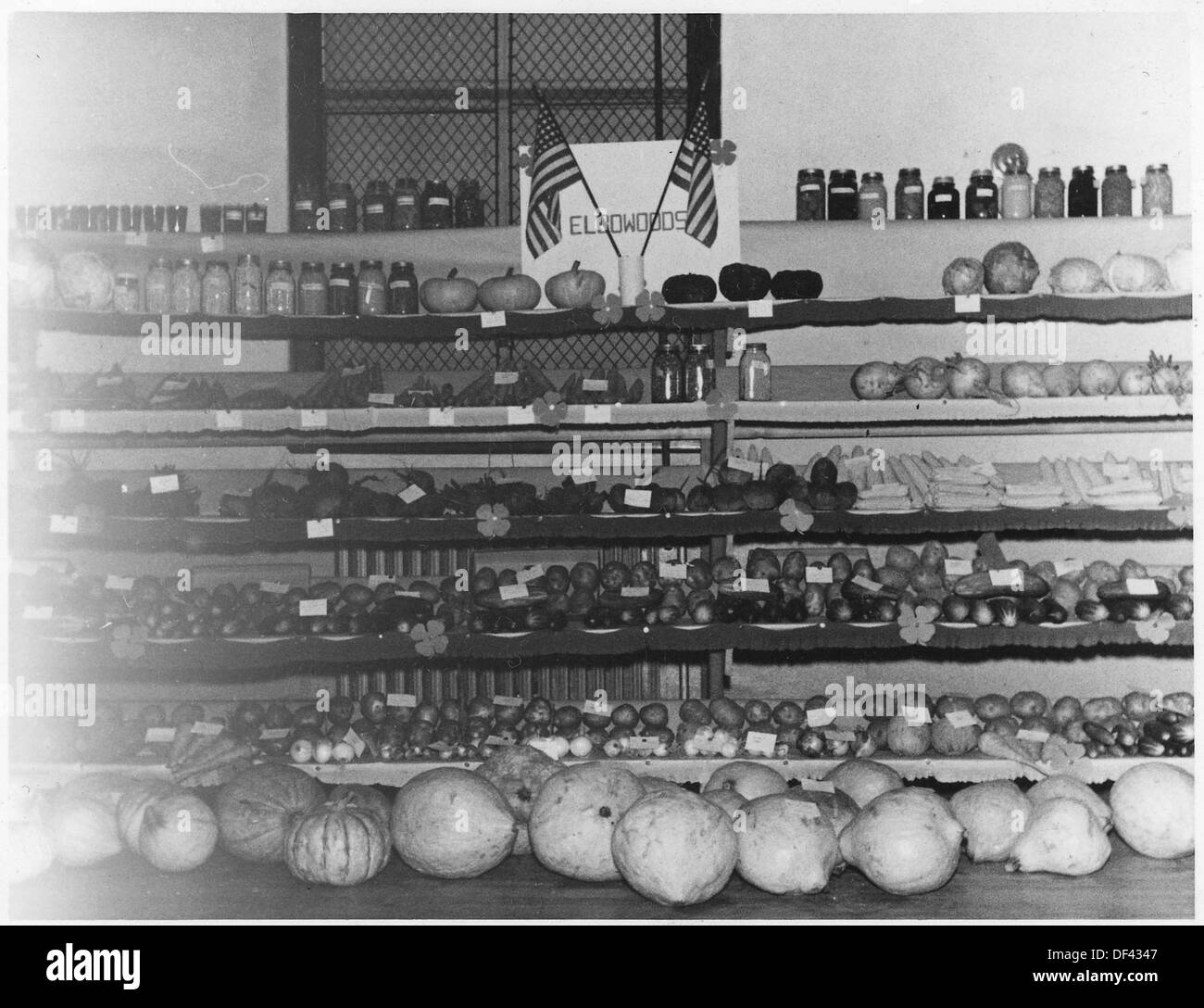 The photograph shows a 4-H food display at Elbowoods, highlighting the ...
