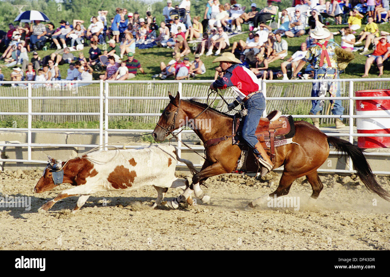 Calf roping event in a rodeo Stock Photo - Alamy