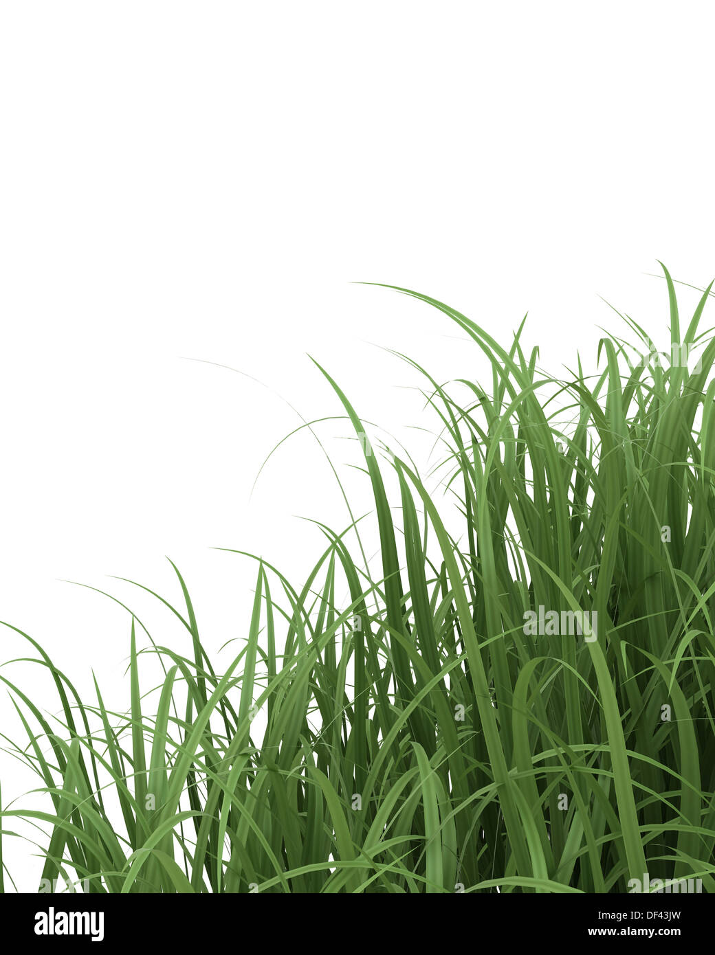 3D Render of Green Grass isolated on White Stock Photo - Alamy
