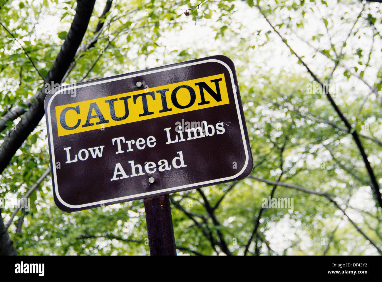 The Hanging Tree High Resolution Stock Photography and Images - Alamy