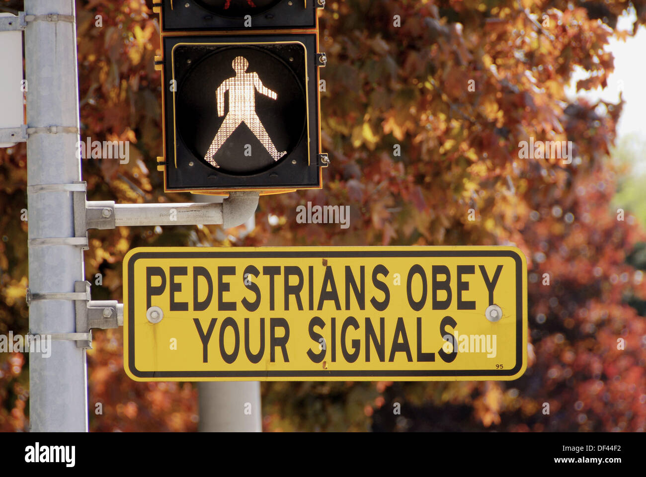 Pedestrian safety assist sign hi-res stock photography and images - Alamy