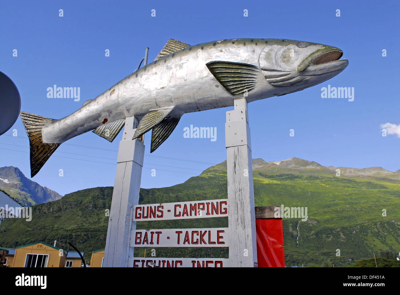 William Fish High Resolution Stock Photography and Images - Alamy