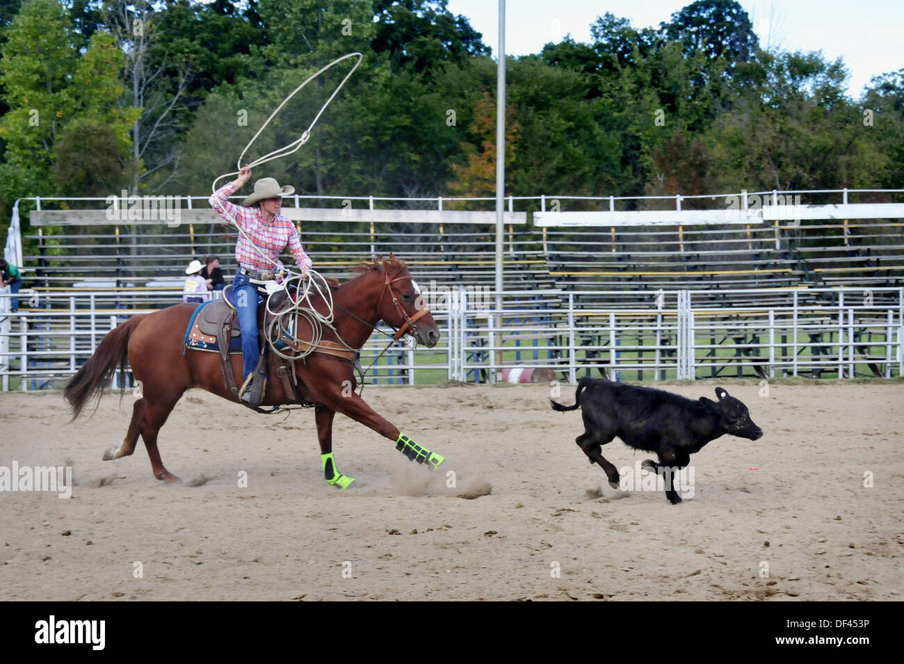 Team Roping Rodeo Competition High Resolution Stock Photography and ...