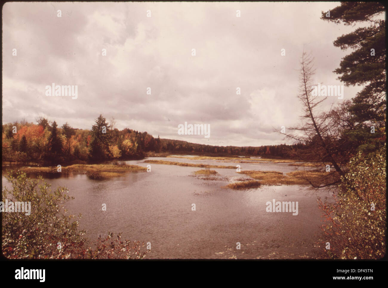 FALL SCENE ON THE NORTH BRANCH OF THE MOOSE RIVER AT THENDARA BRIDGE ...