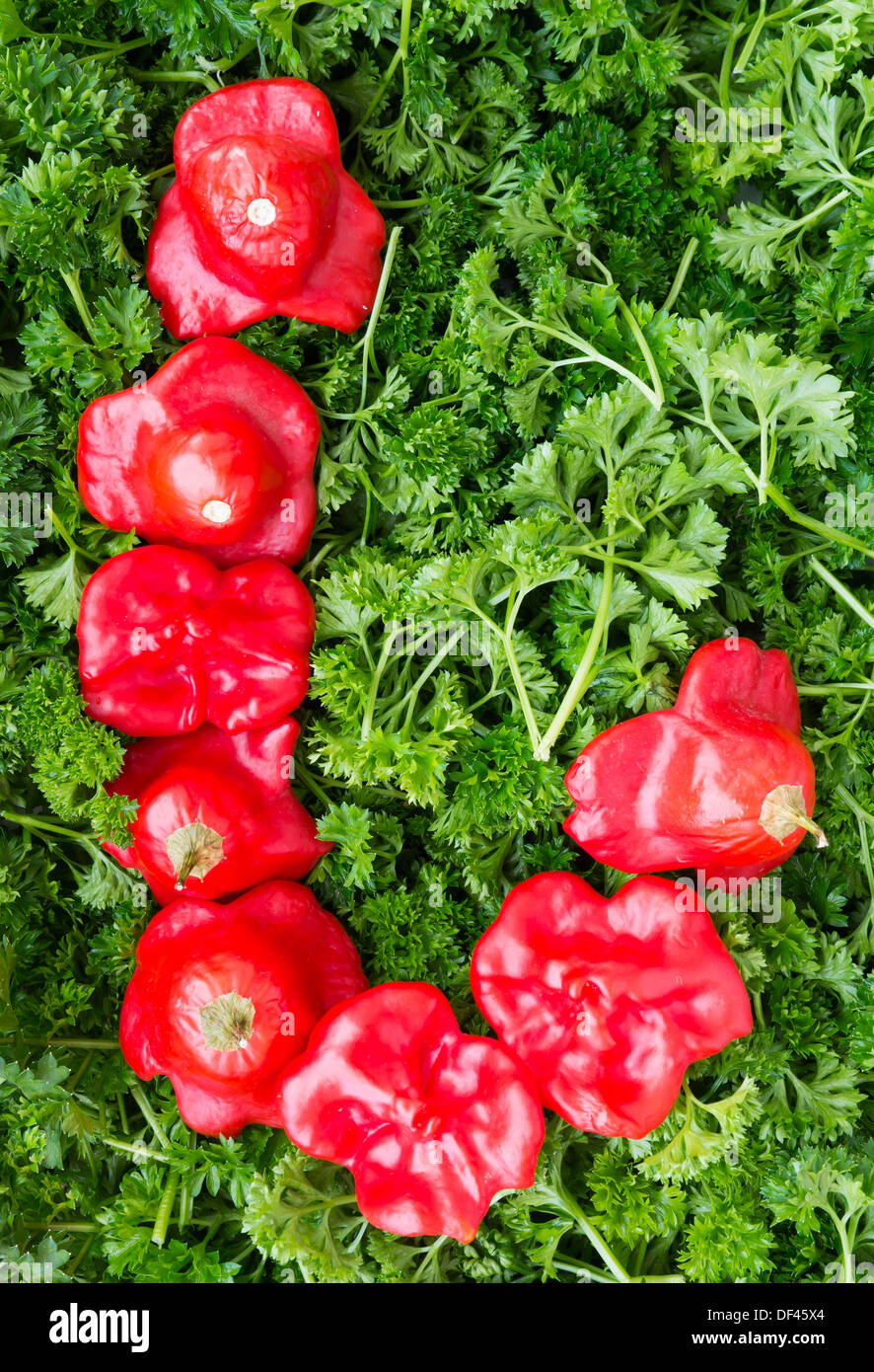 Letter J. Pepper and parsley Stock Photo - Alamy