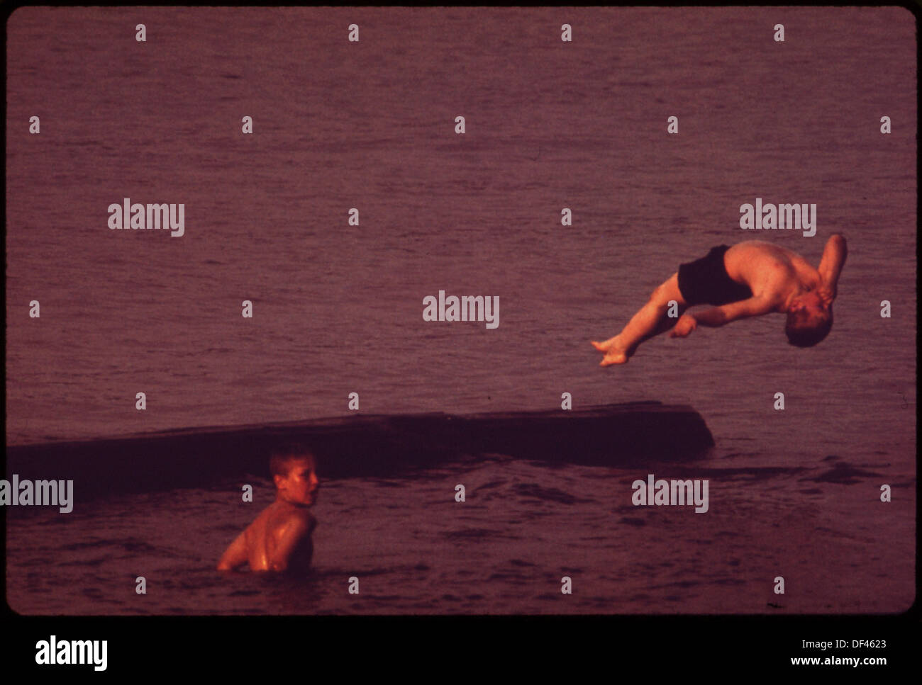 FANCY DIVING FROM A LOG IN LAKE WASHINGTON. LAKE WASHINGTON WAS DYING ...