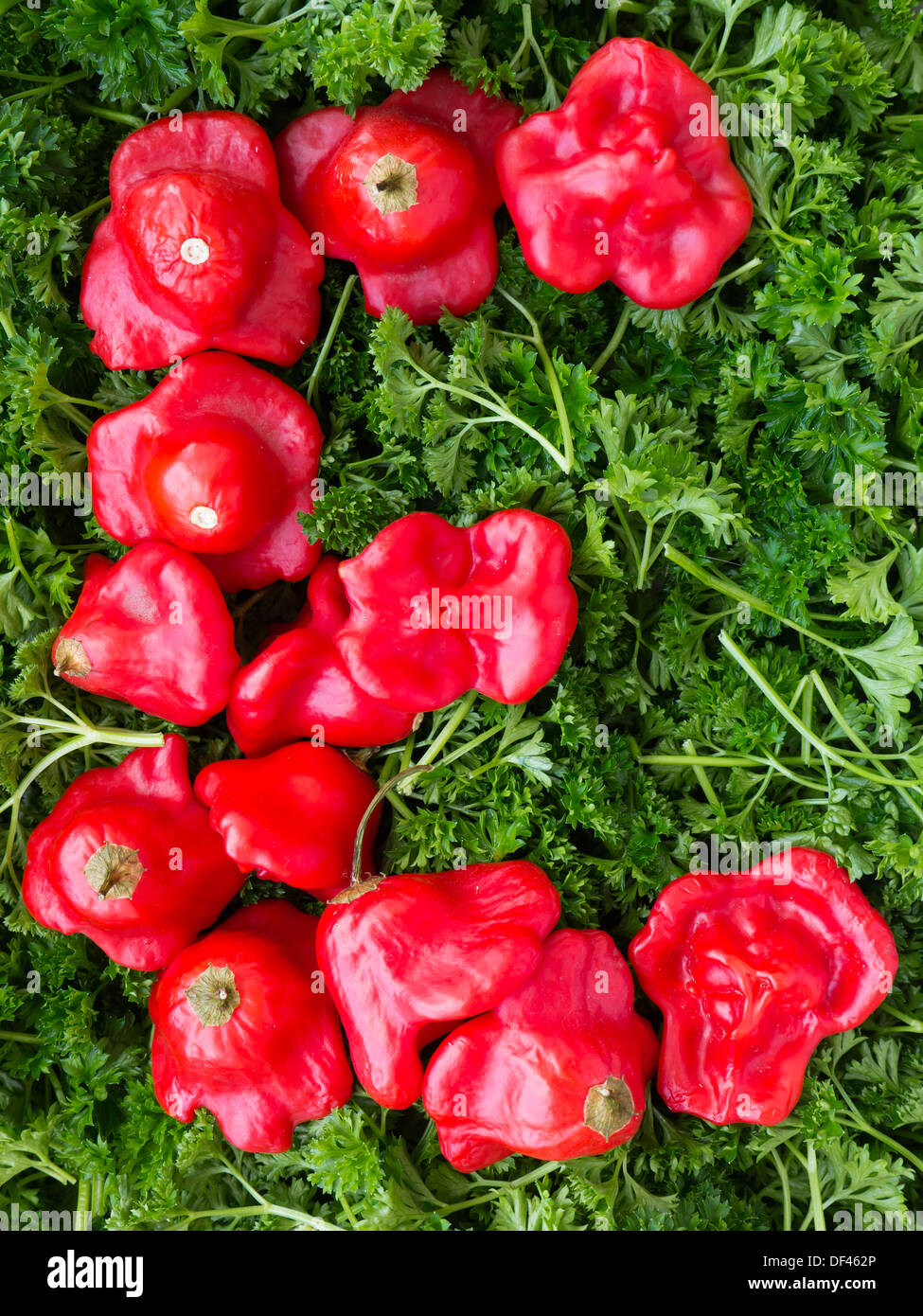 Letter E. Pepper and parsley Stock Photo - Alamy
