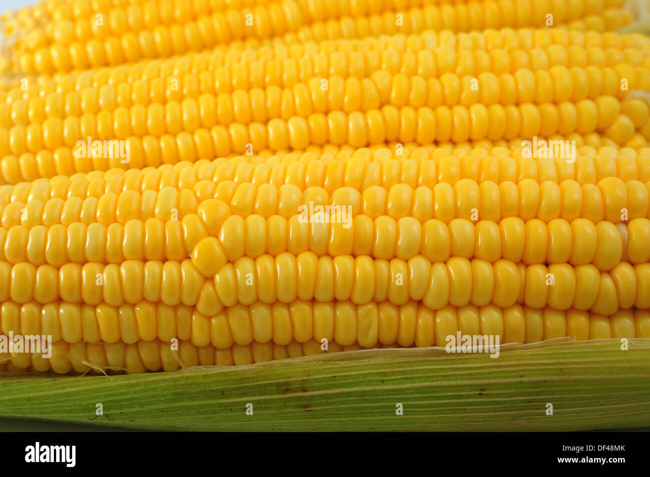 Biofuel vegetable hi-res stock photography and images - Alamy