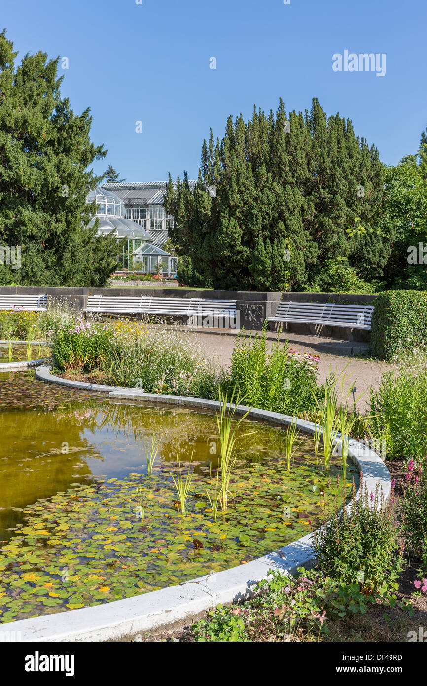 Botanical garden of Berlin with pond and greenhouse Stock Photo - Alamy