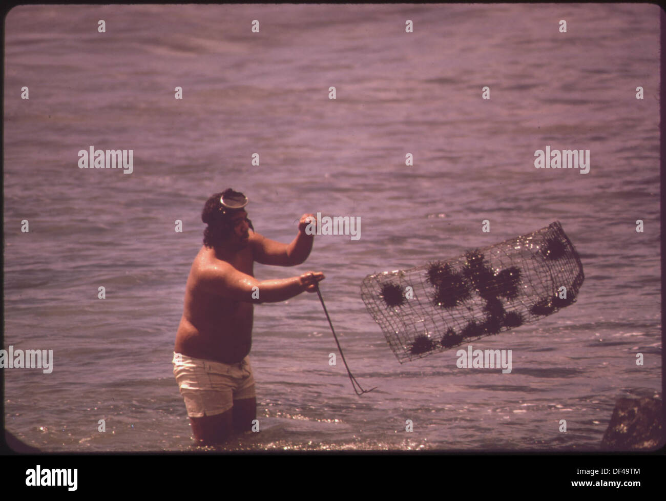 The photograph titled 'Fruits of the Sea' depicts seafood caught from ...