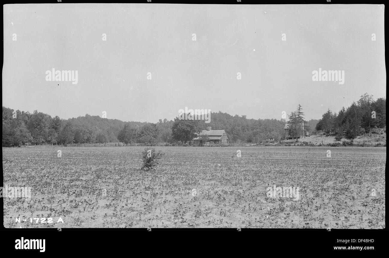 Graham allen hi-res stock photography and images - Alamy