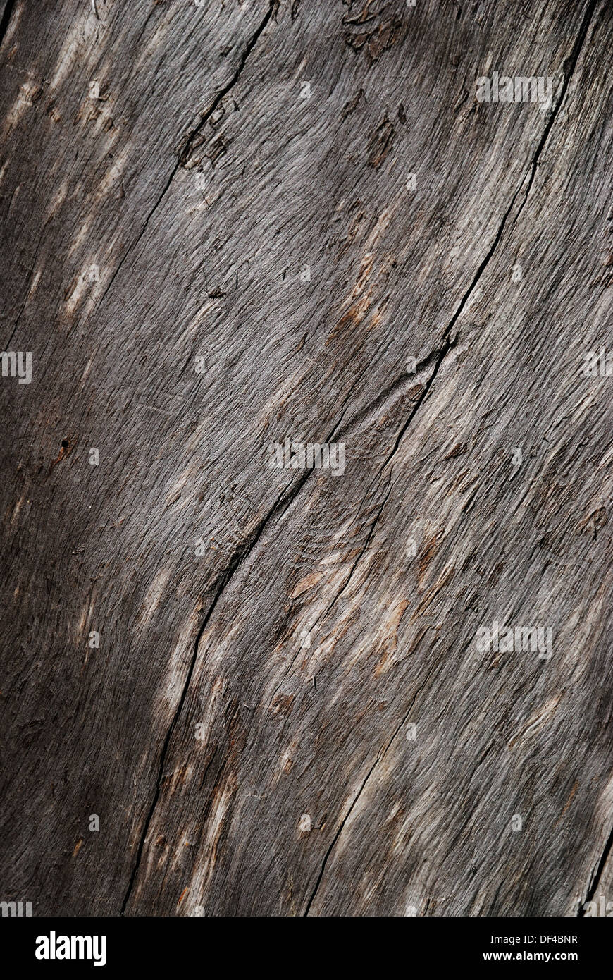 Log surface hi-res stock photography and images - Alamy