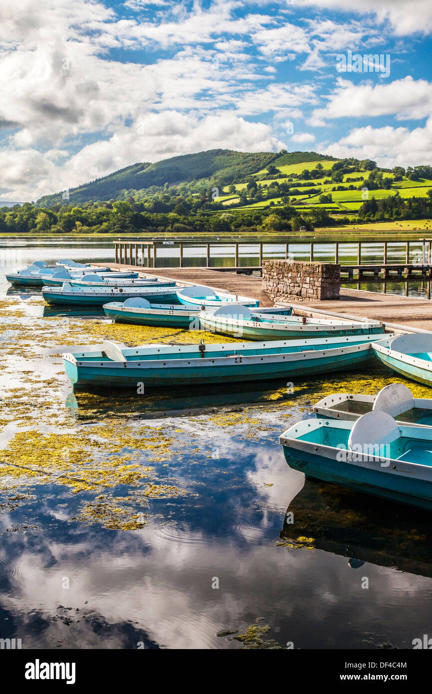 Llangorse lake hi-res stock photography and images - Alamy