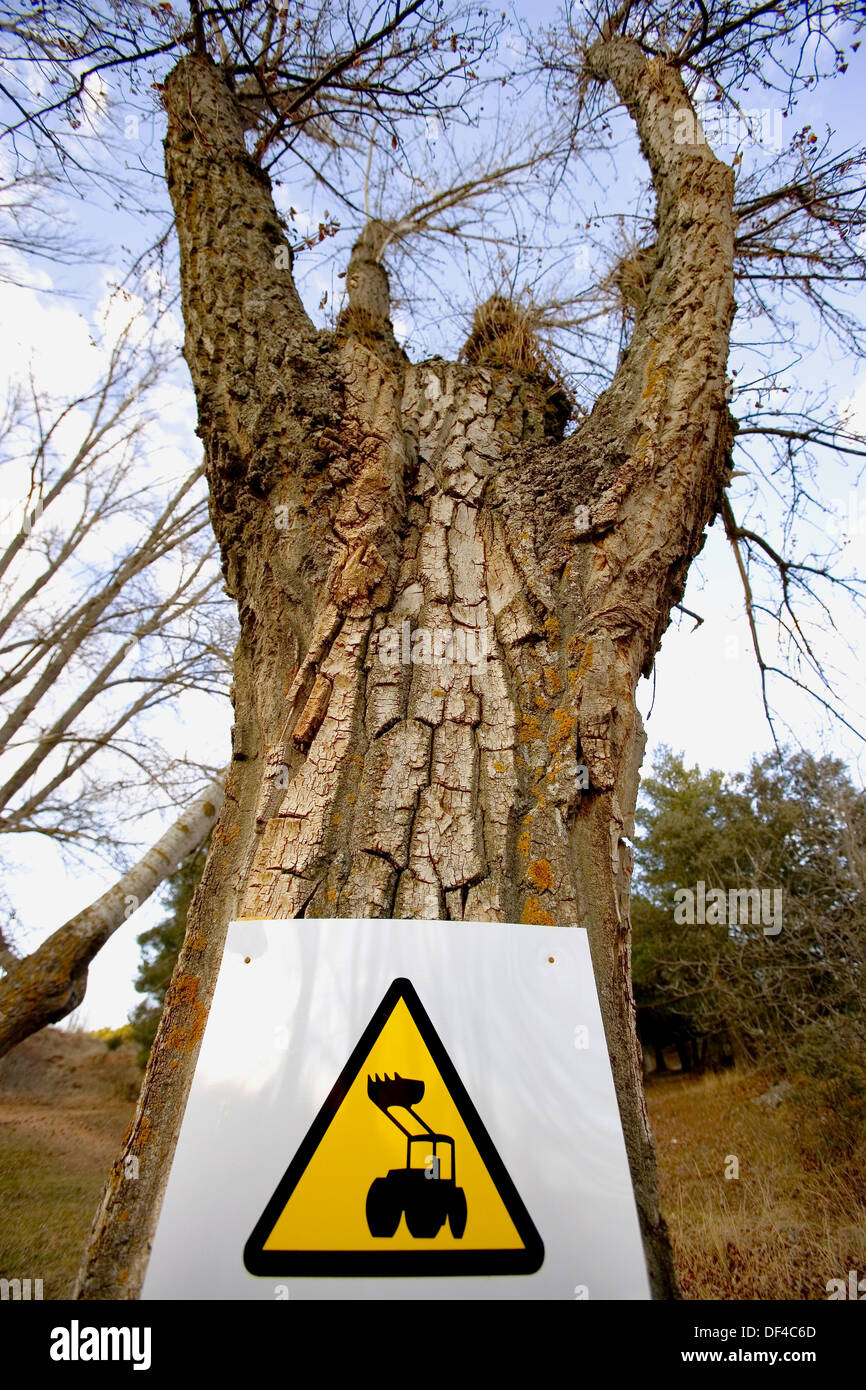 Information sign deforestation hi-res stock photography and images - Alamy