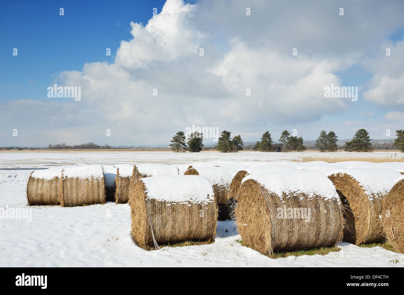 Modern straw bales hi-res stock photography and images - Alamy