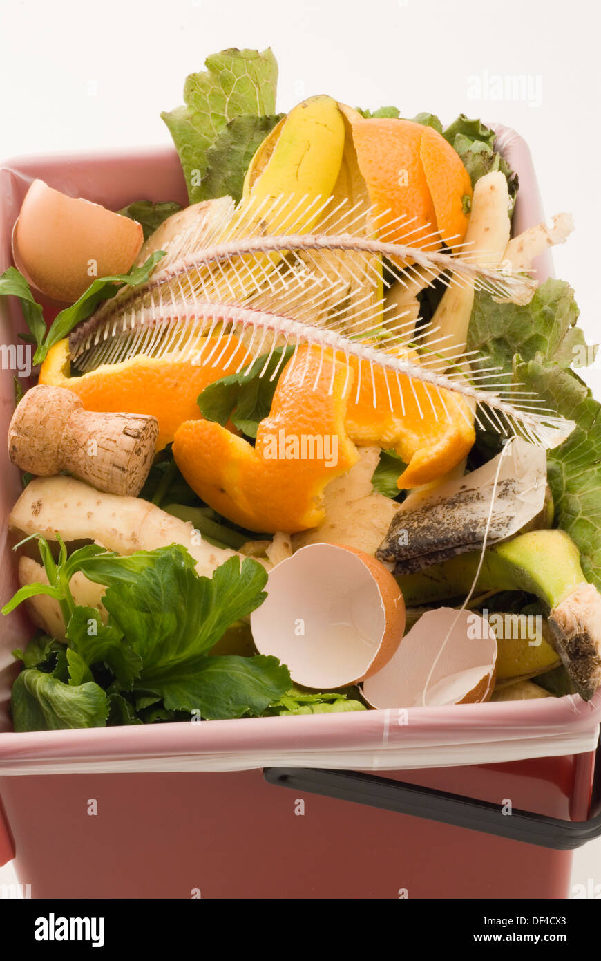 Organic waste in a recycling bin Stock Photo - Alamy