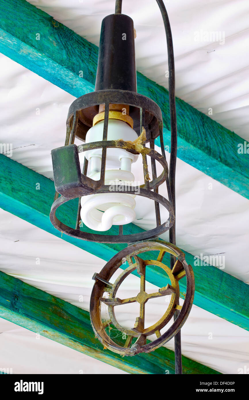 Fluorescent wood hi-res stock photography and images - Alamy