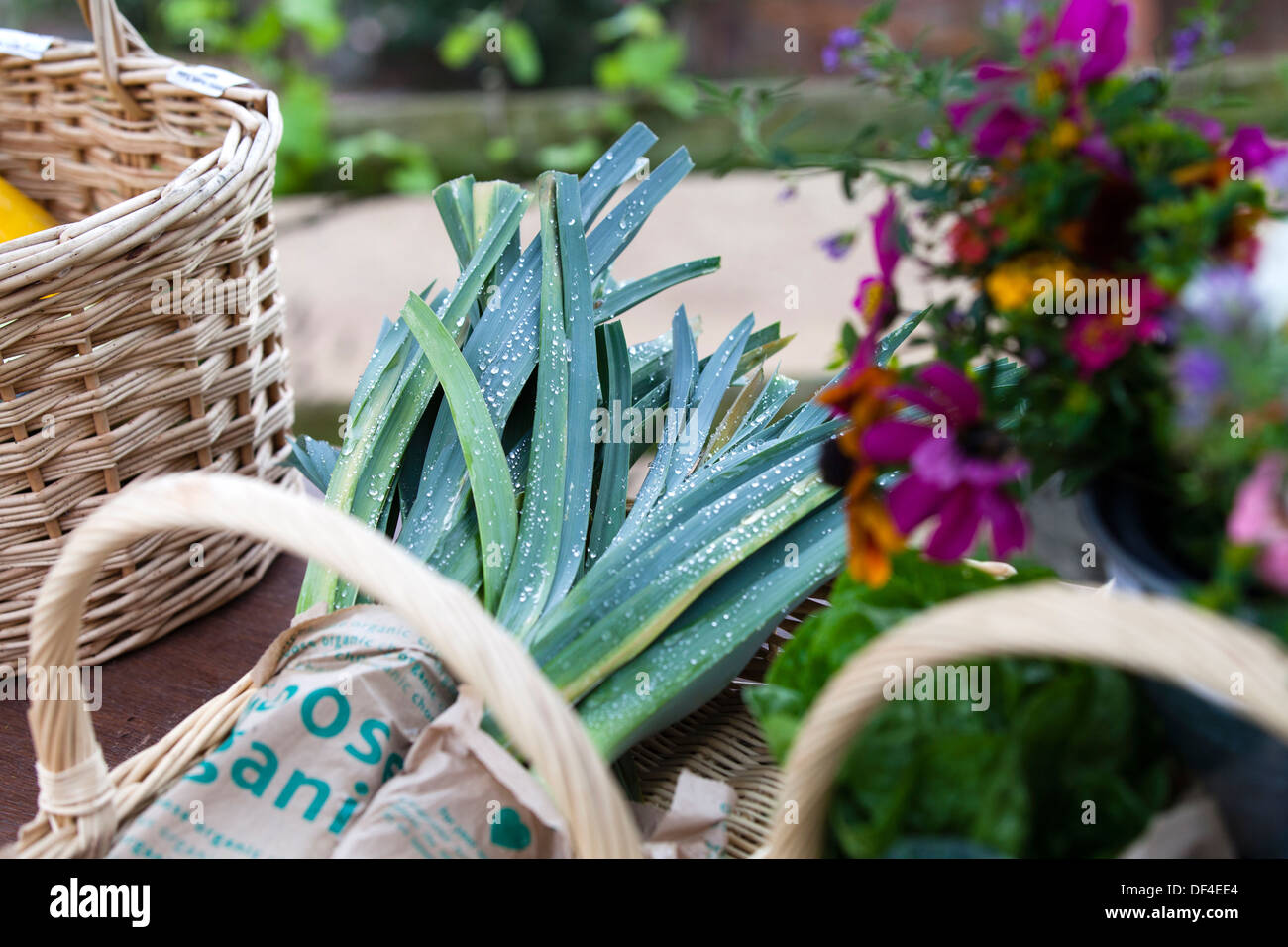 Organic Spring Onions bagged and in a basket on an Organic Farm stall ...