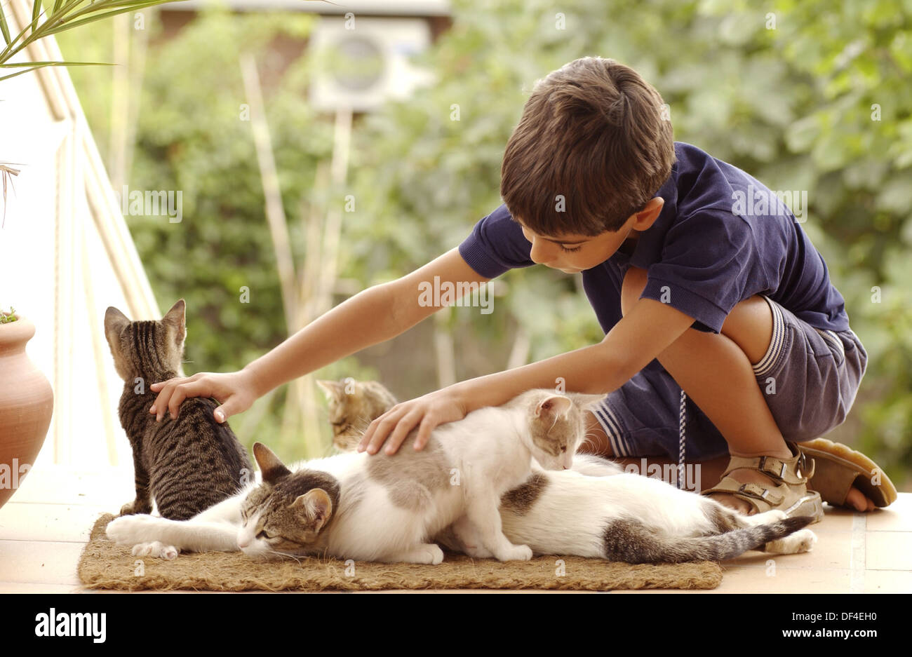 Boy caressing cat hi-res stock photography and images - Alamy
