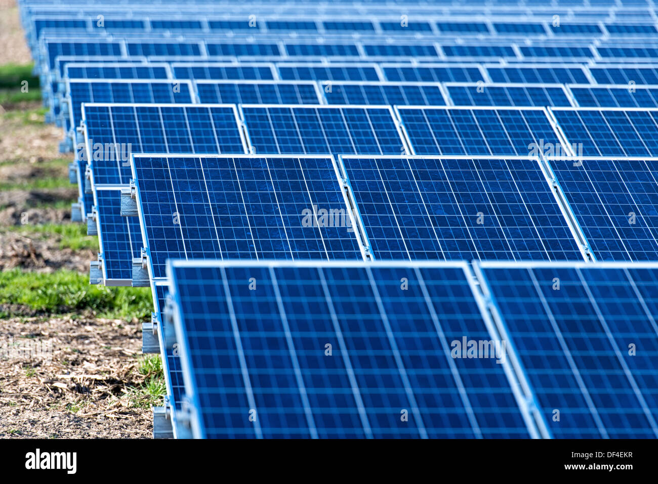 Field of Photovoltaic Solar Panels For Renewable Electrical Energy ...