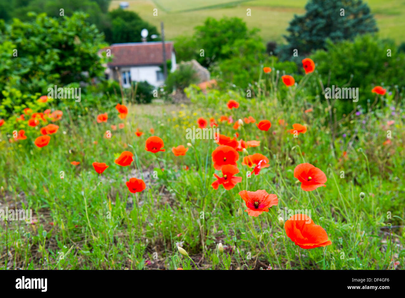 French landscape hi-res stock photography and images - Alamy