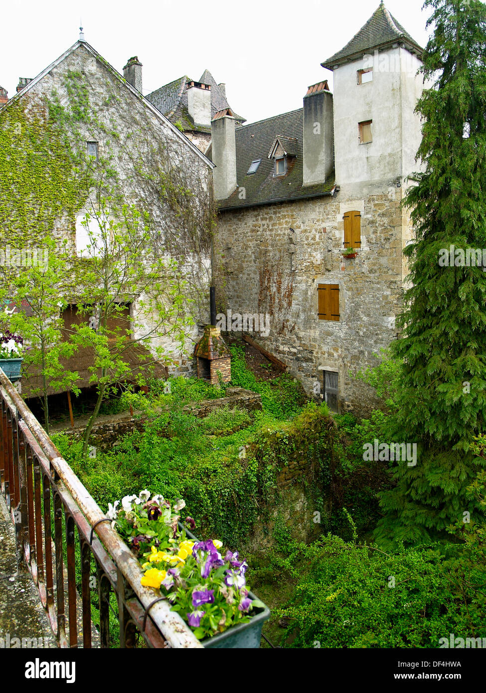 Prettiest flower hi-res stock photography and images - Alamy