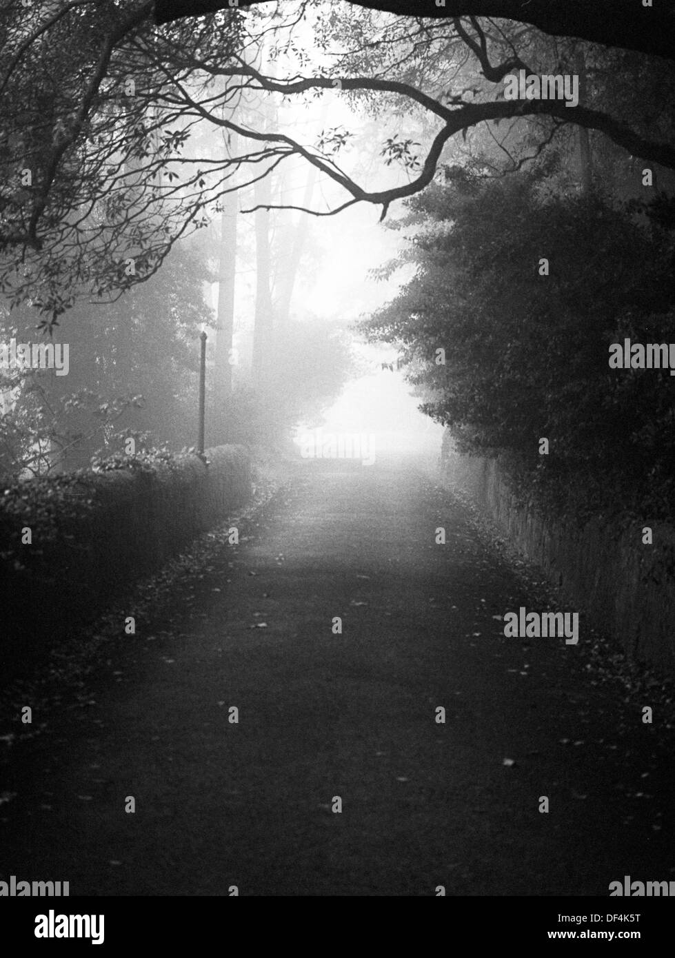 Wall foggy Black and White Stock Photos & Images - Alamy